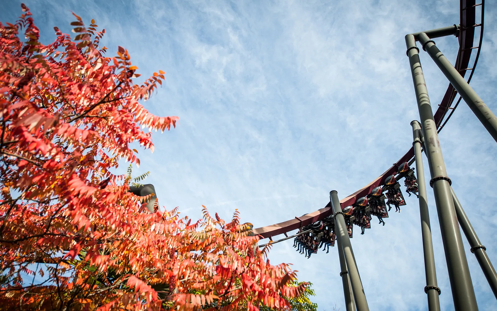 Blogs And Inspiration Merlin Annual Pass