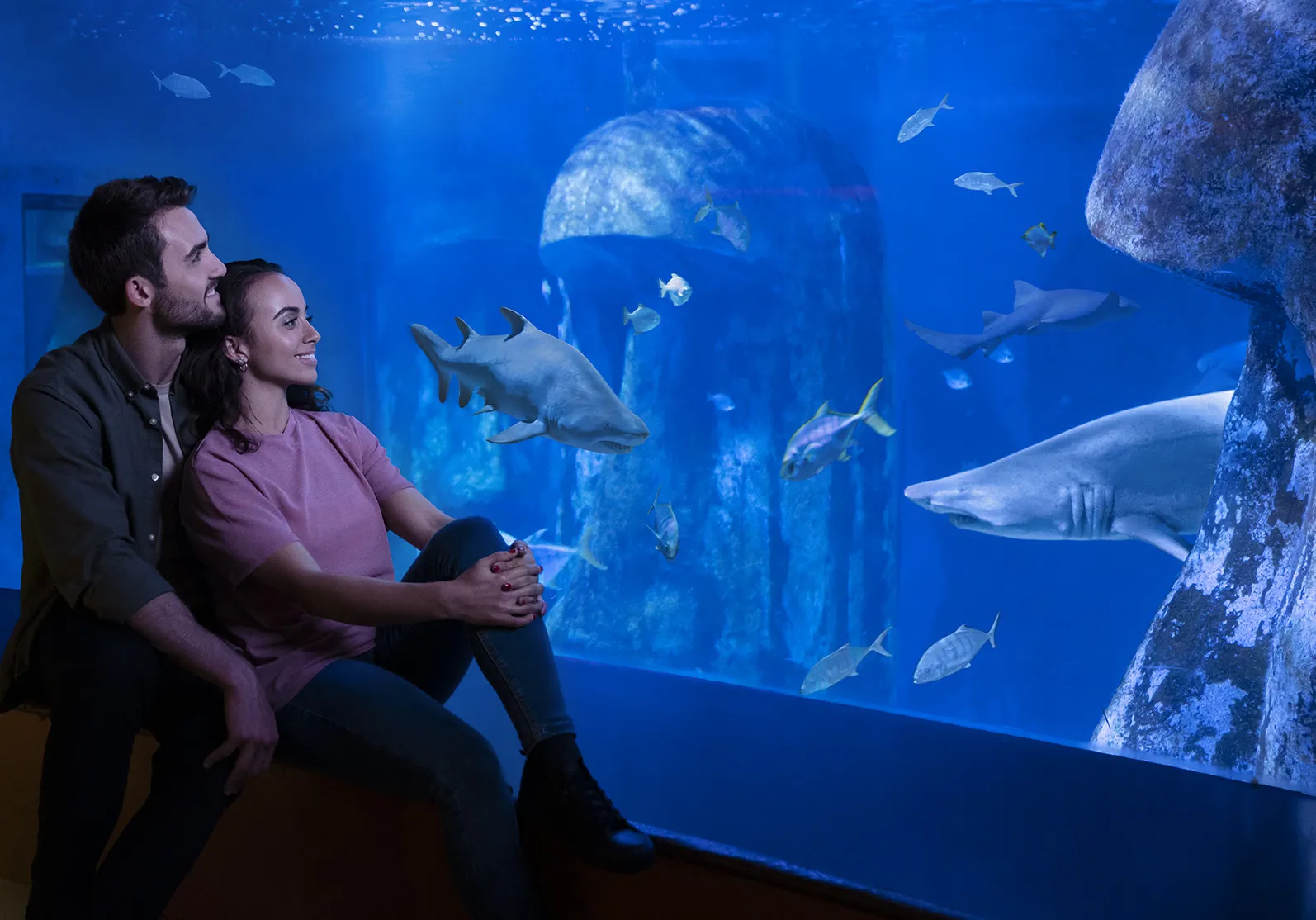 SEA LIFE Centres | Merlin Annual Pass